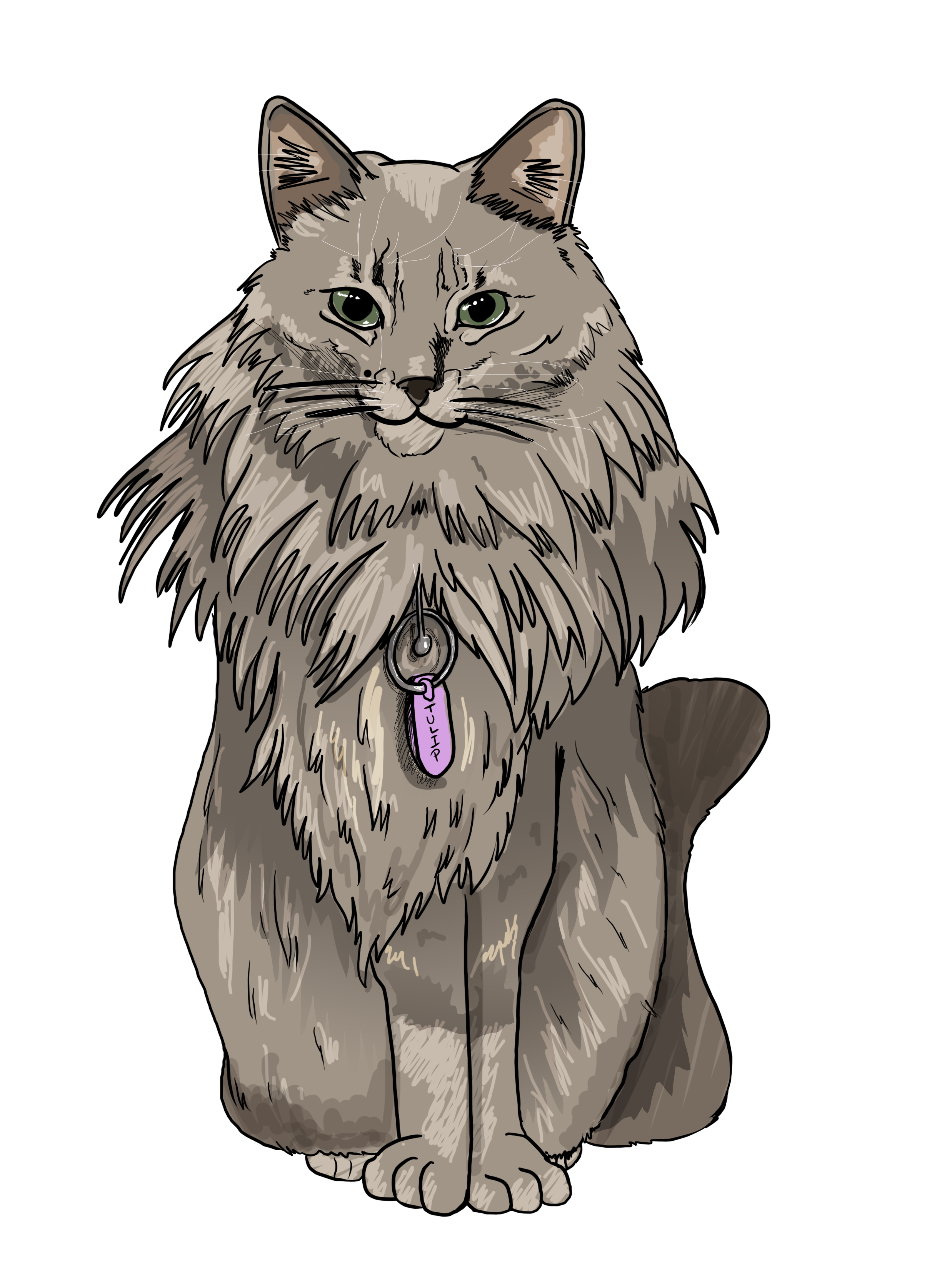 Pokemon Fan Card (Tulip) – Character Design – MabsArts